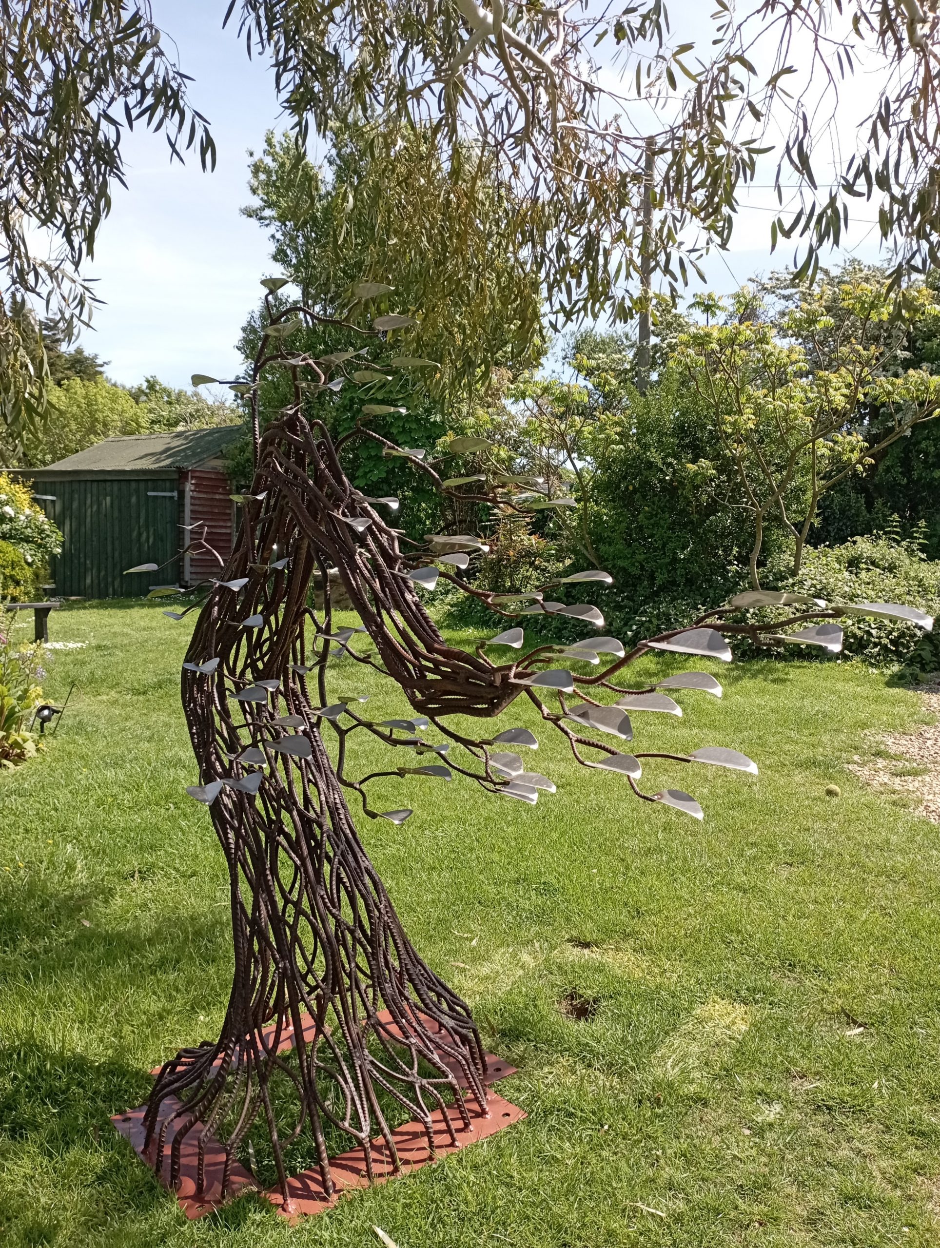 The Wind Tree - Dave Badman